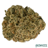 Barongo 28/1 ZP Zesty Parm zum besten Preis