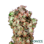 Oasis OG » Wirkung, Strain Reviews & Preise | flowzz