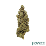 Ostara Balance Long Valley Legend zum besten Preis