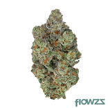 Craft Botanics 27/1 Mimosa zum besten Preis