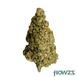 ZOIKS 26/1 BB Ben & Berries zum besten Preis