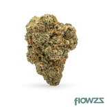 Craft Botanics 25/1 Georgia Pie zum besten Preis