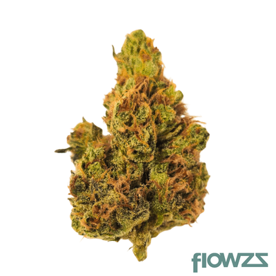 Barrocas PMK 24/1 Premium Mandarin Kush zum besten Preis