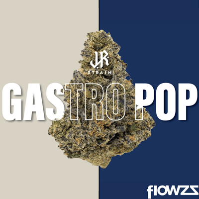 J.R. Strain GP 28/1 Gastro Pop zum besten Preis
