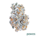 avaay Signature 33/1 BYY Blueberry Yum Yum zum besten Preis